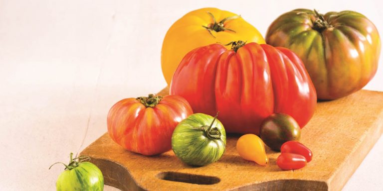 All About...TOMATOES - Live Naturally Magazine