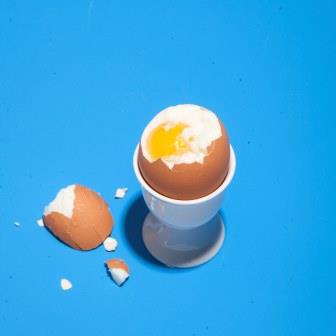 The Misunderstood EGG - Live Naturally Magazine