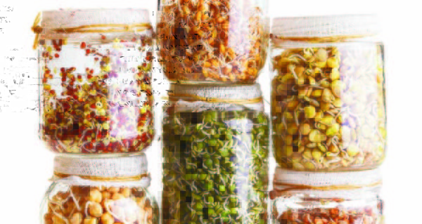 What Are Sprouted Grains? - Live Naturally Magazine