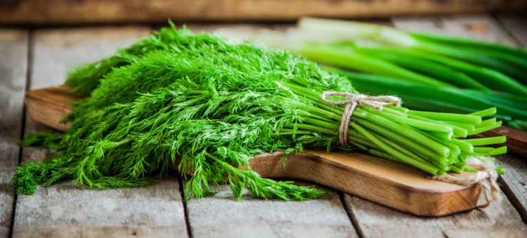 All About Dill - Live Naturally Magazine