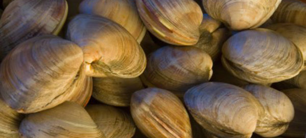 Neapolitan-Style Fish Soup - Live Naturally Magazine